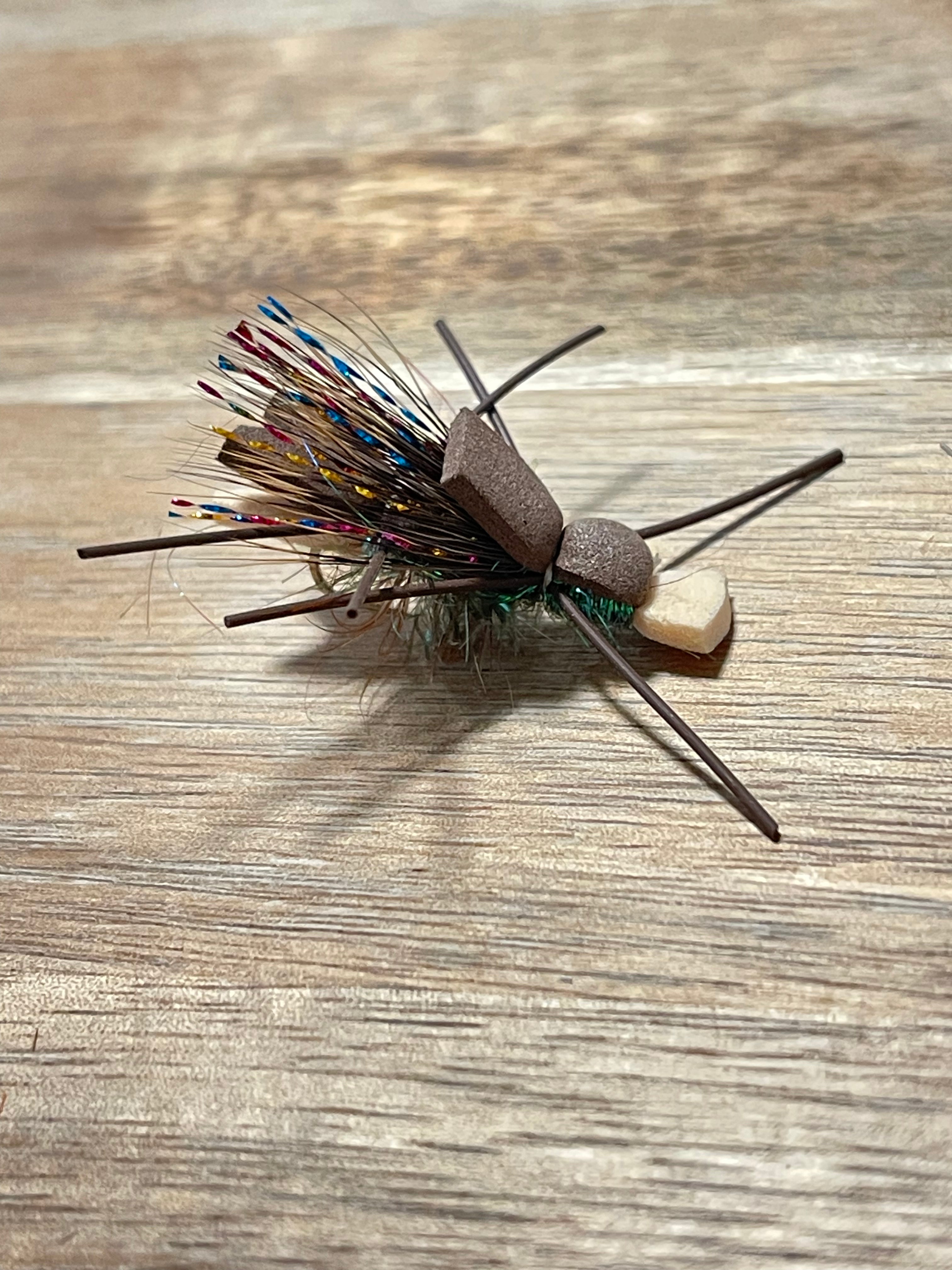 Amys Ant per Dozen – Native Instinct